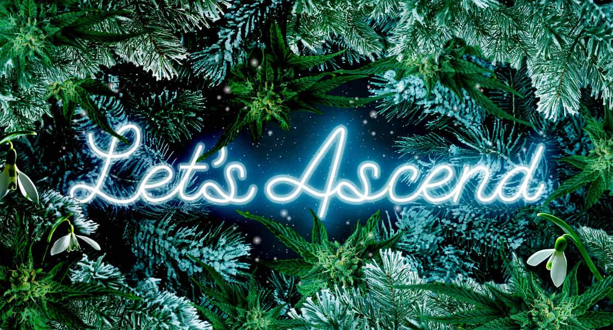 Ascend Cannabis: Recreational & Medical Marijuana Dispensaries