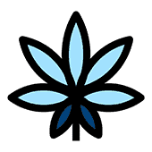 Scranton Medical Marijuana Dispensary - Ascend Cannabis