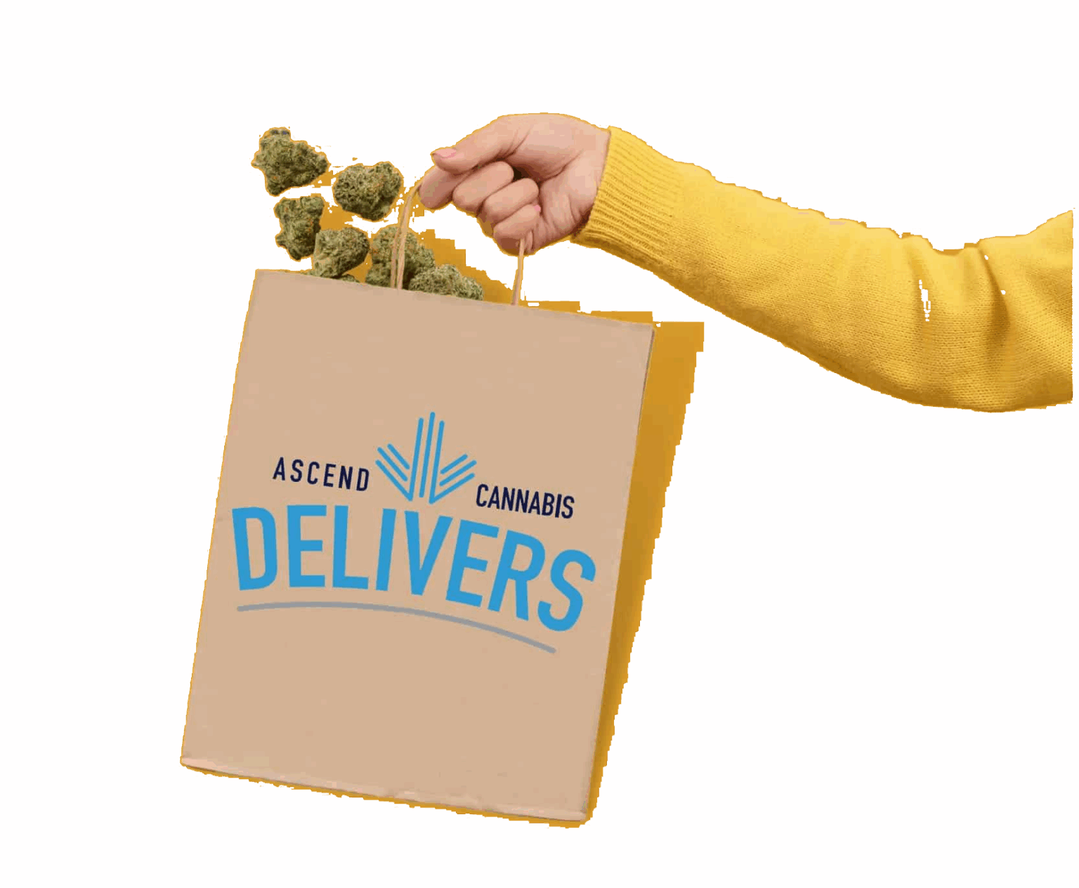 Cannabis Delivery To Your Doorstep | Ascend Dispensary